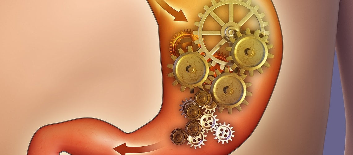 O que é gastroparesia e como é afetada pela dieta? - Nutritotal PRO