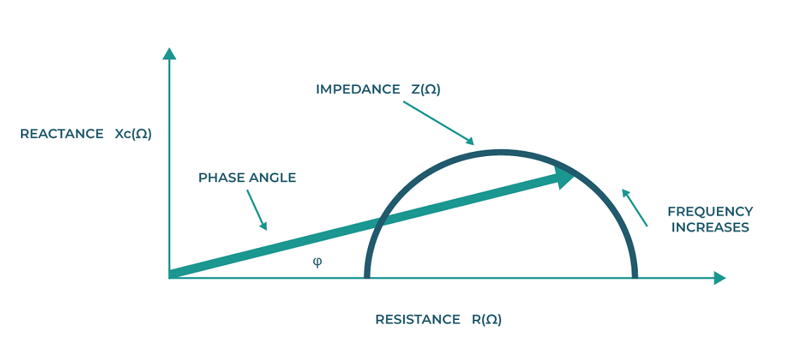 Uso do ângulo de fase no diagnóstico nutricional de pacientes ...