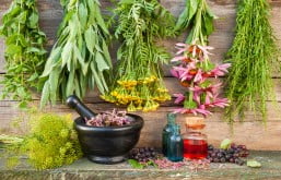 Farmacopeia Brasileira | O que você precisa saber?