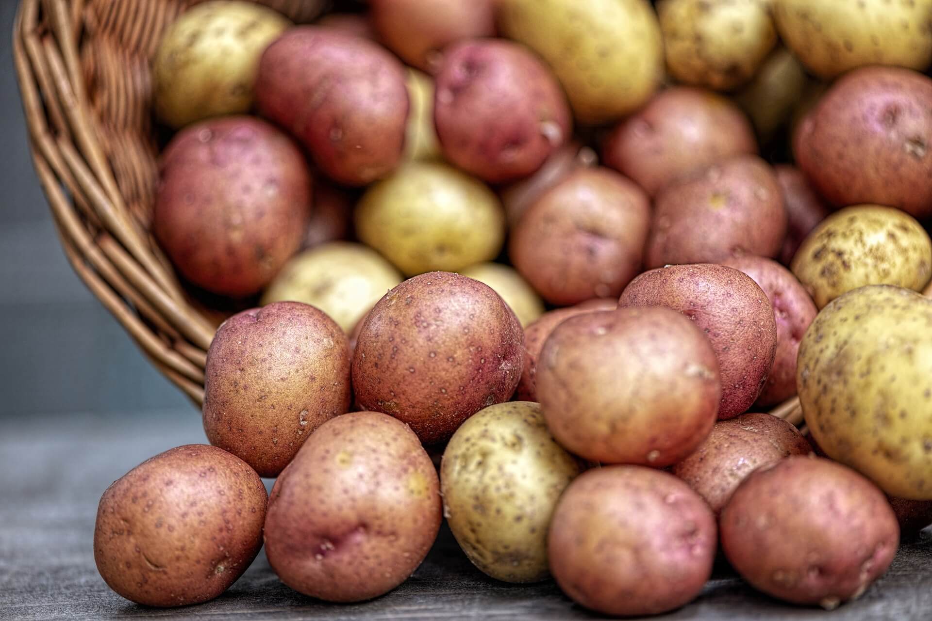 Doce, inglesa ou baroa: qual batata tem mais nutrientes? - Nutritotal ...