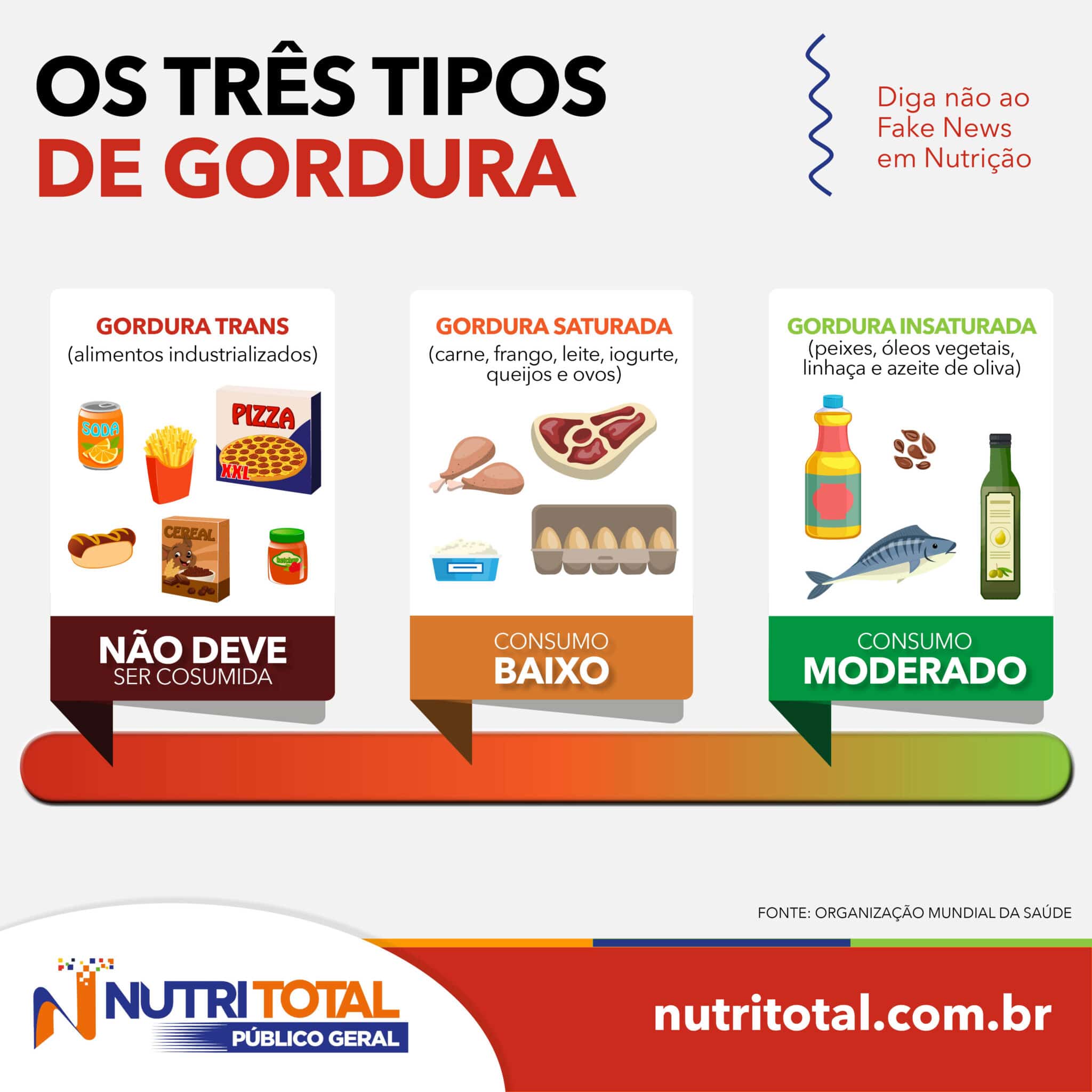 Quais são os três tipos de gordura? - Nutritotal Para todos